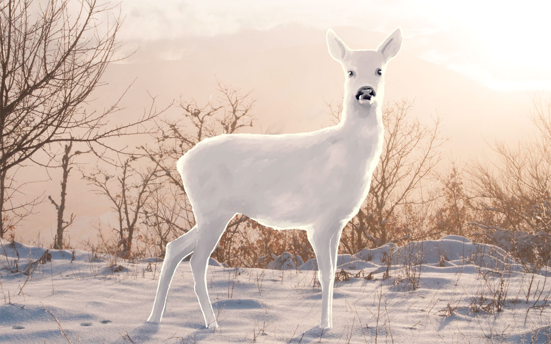 Leyenda de la corza blanca - Alimentos de Calidad del Bierzo